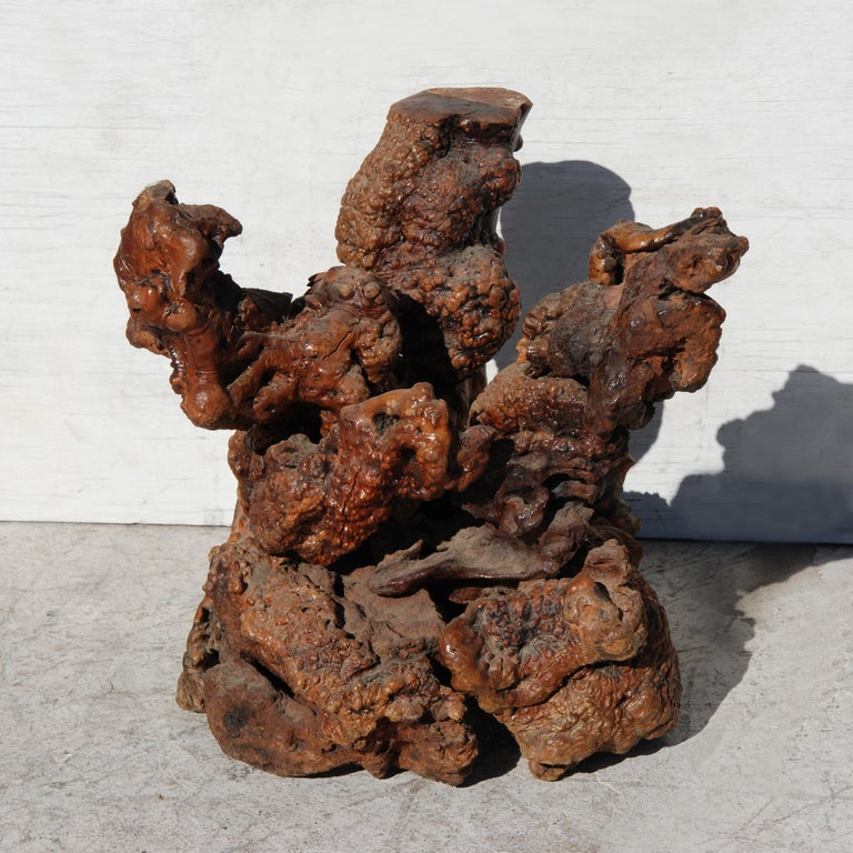 Vintage Root Side Table with Glass Top For Sale at 1stDibs