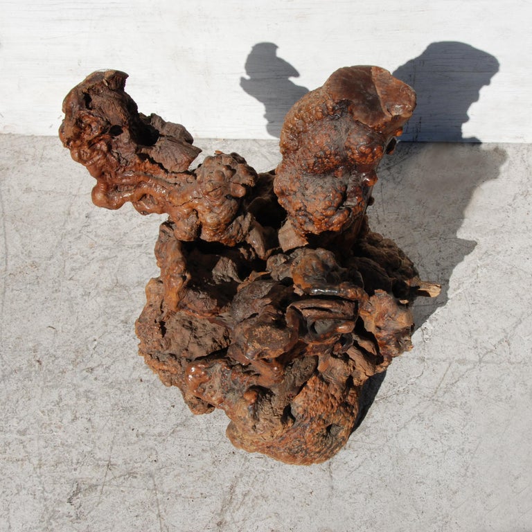 Vintage Root Side Table with Glass Top For Sale at 1stDibs