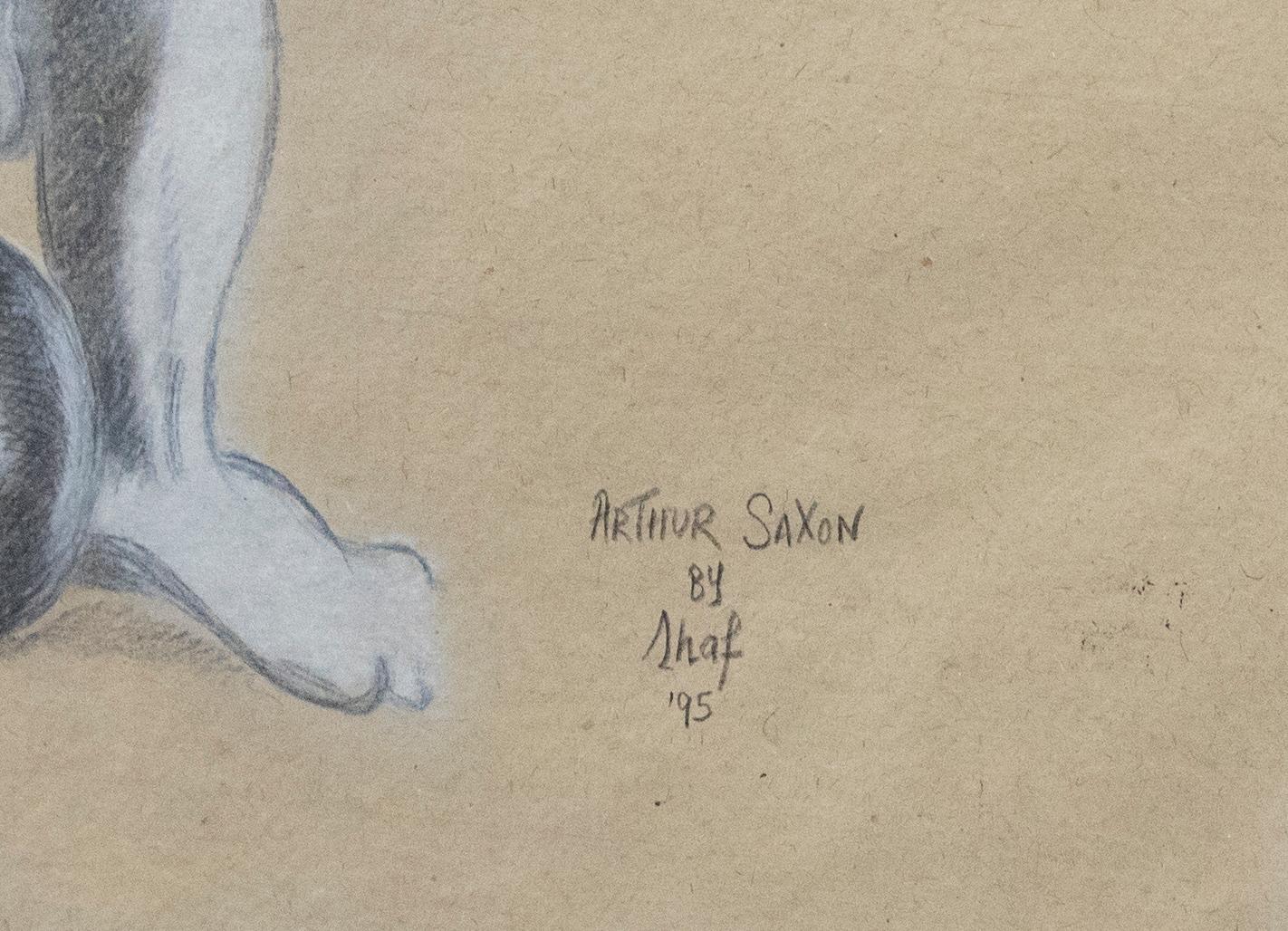 Unknown - Shaf - 1895 Charcoal Drawing, Arthur Saxon, The Iron Master ...