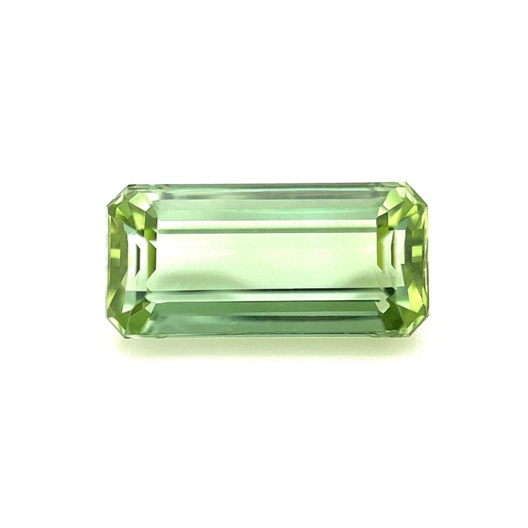 3.79 Carat Natural Light Mint Green Tourmaline Fancy Octagon Emerald ...