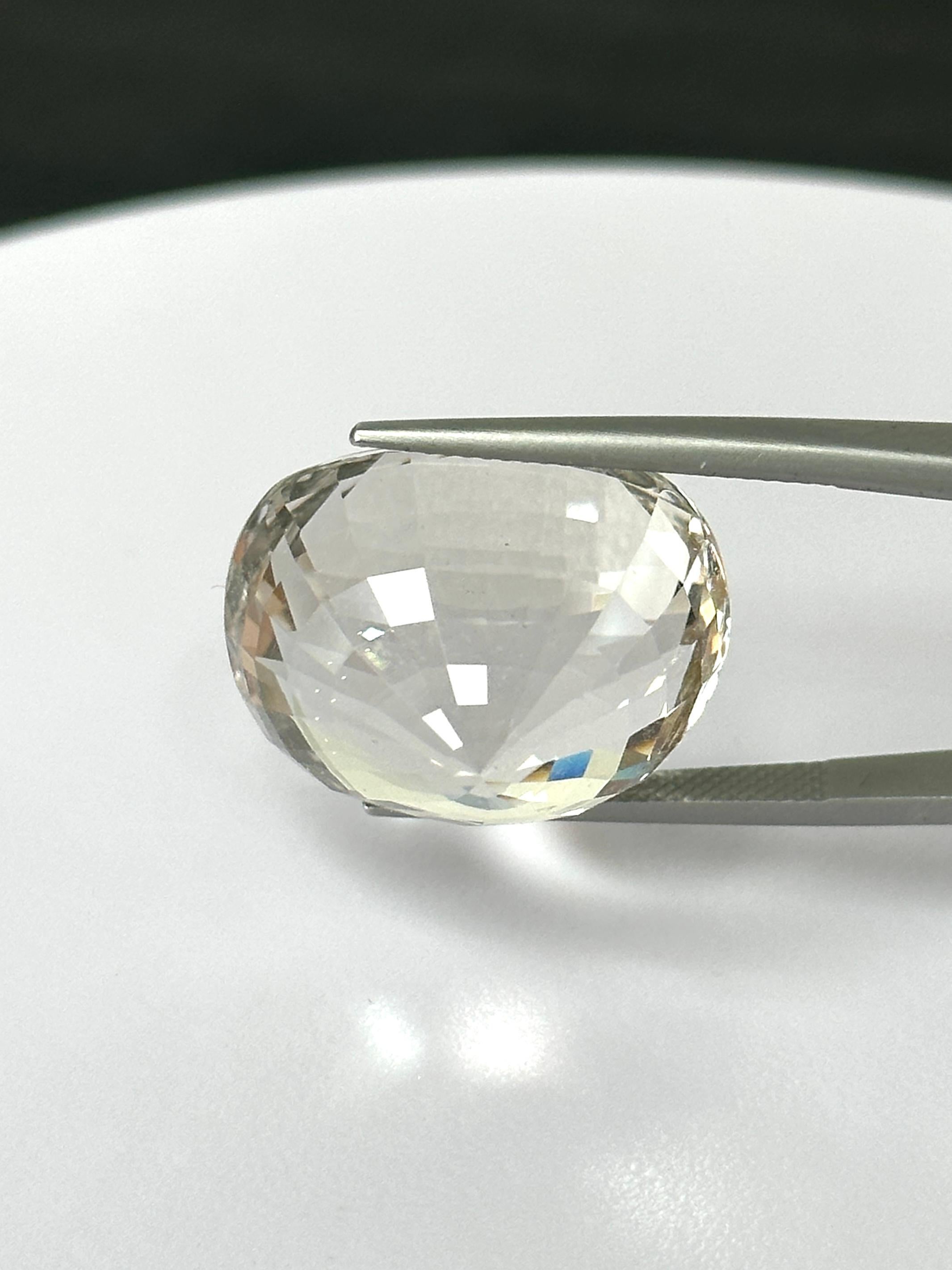38.60 Carat Collector's Faceted Rock Crystal Quartz at 1stDibs
