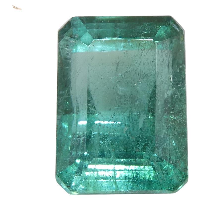 4.01ct Octagonal/Emerald Cut Green Emerald GIA Certified Zambia For ...