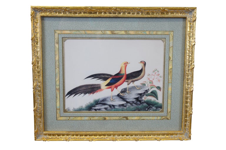 4 Vintage Colorful Bird Lithograph Portrait Prints Chinoiserie Gold ...