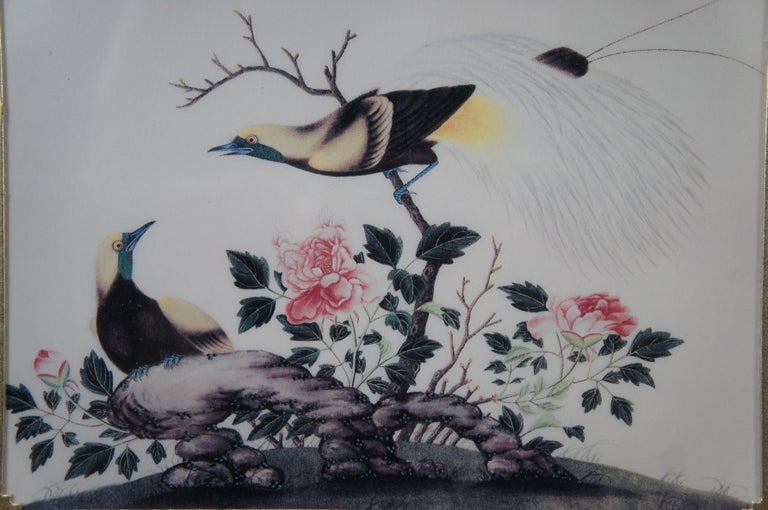 4 Vintage Colorful Bird Lithograph Portrait Prints Chinoiserie Gold ...