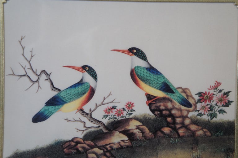 4 Vintage Colorful Bird Lithograph Portrait Prints Chinoiserie Gold ...
