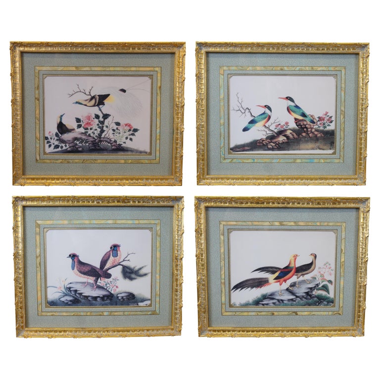 4 Vintage Colorful Bird Lithograph Portrait Prints Chinoiserie Gold ...