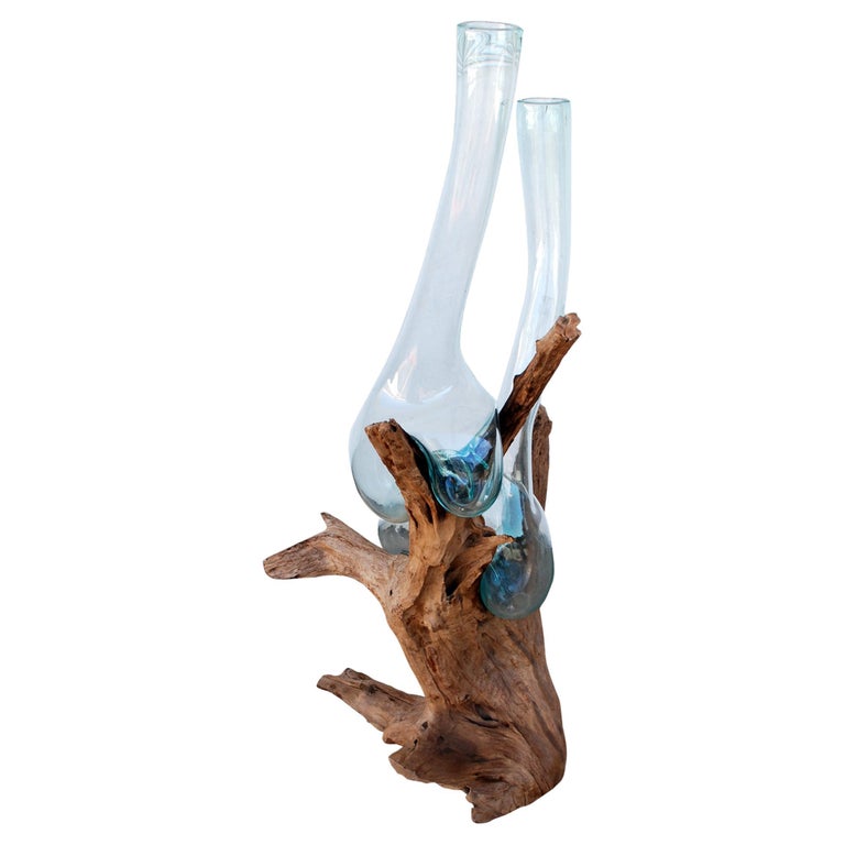 Teak Root Vase / Sculpture For Sale at 1stDibs