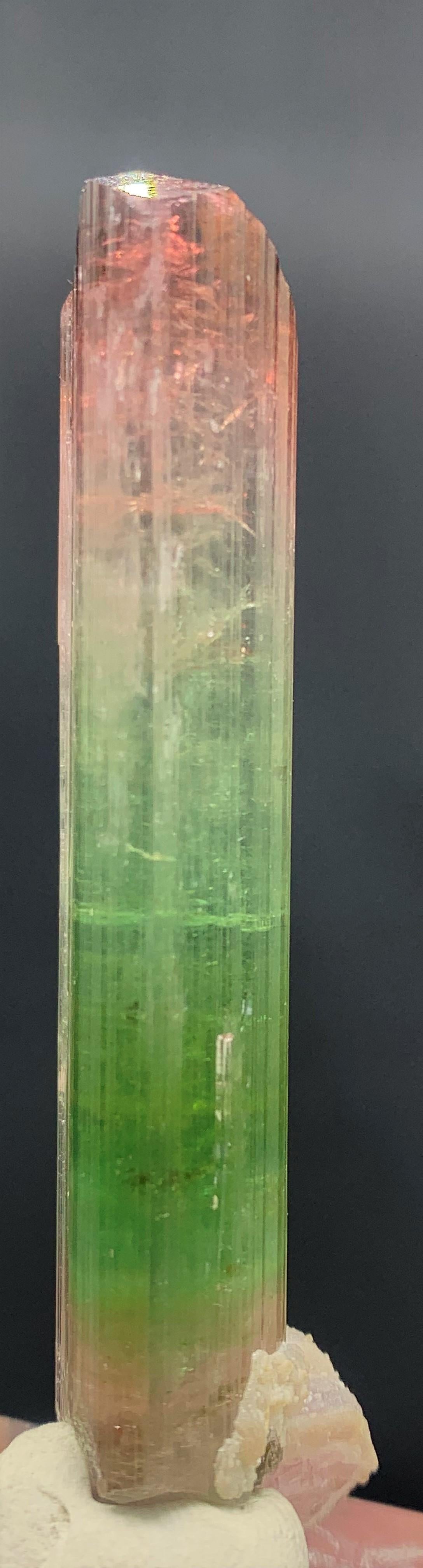 43.94 Gram Top Quality Tri Color Tourmaline Crystal From Paprok ...