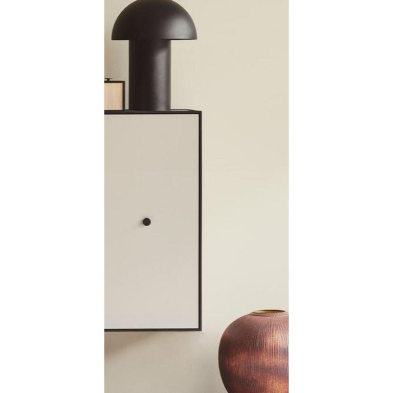 49 Fjord Frame Box with Door / Shelf by Lassen For Sale at 1stDibs