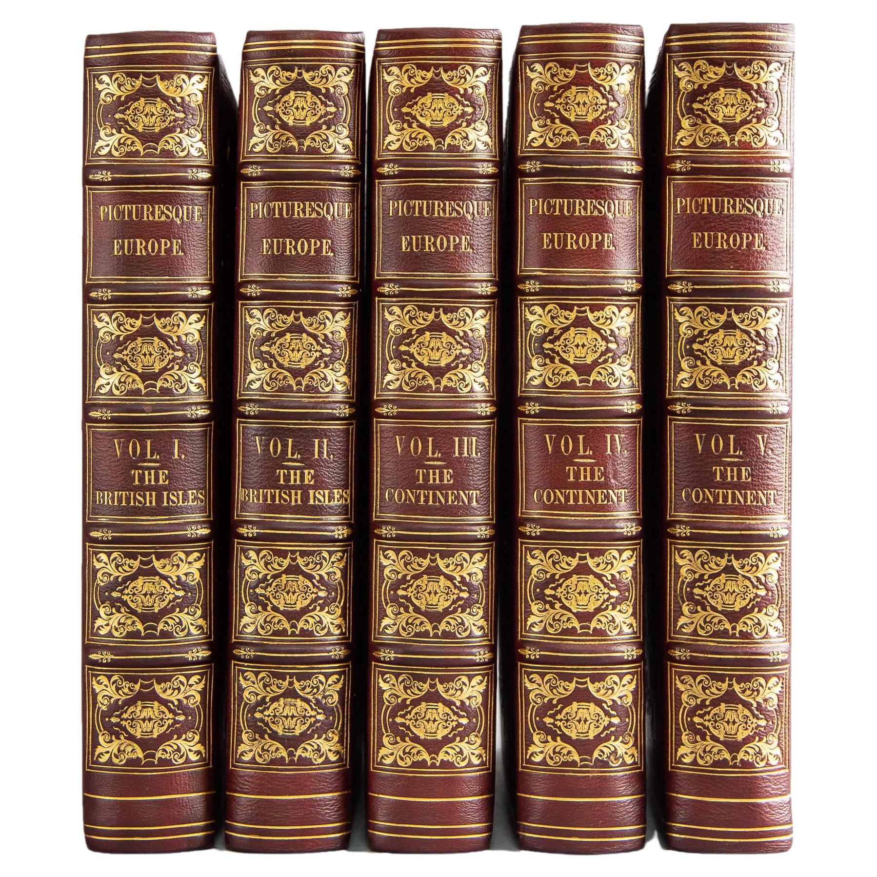 5 Volumes, 'Travel', Picturesque Europe at 1stDibs