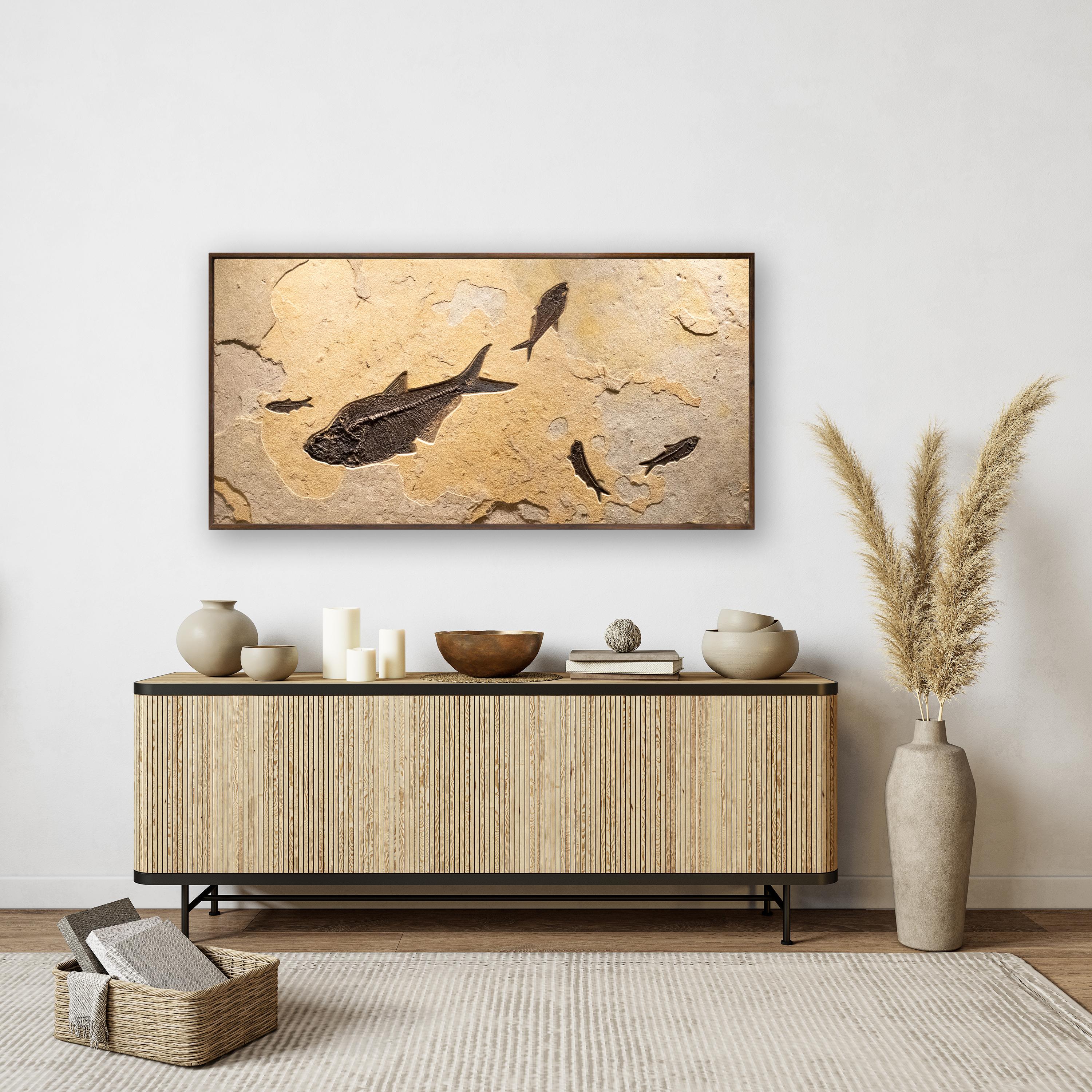 50 Million Year Old Eocene Era Fossil Fish Mural in Stone, from Wyoming ...