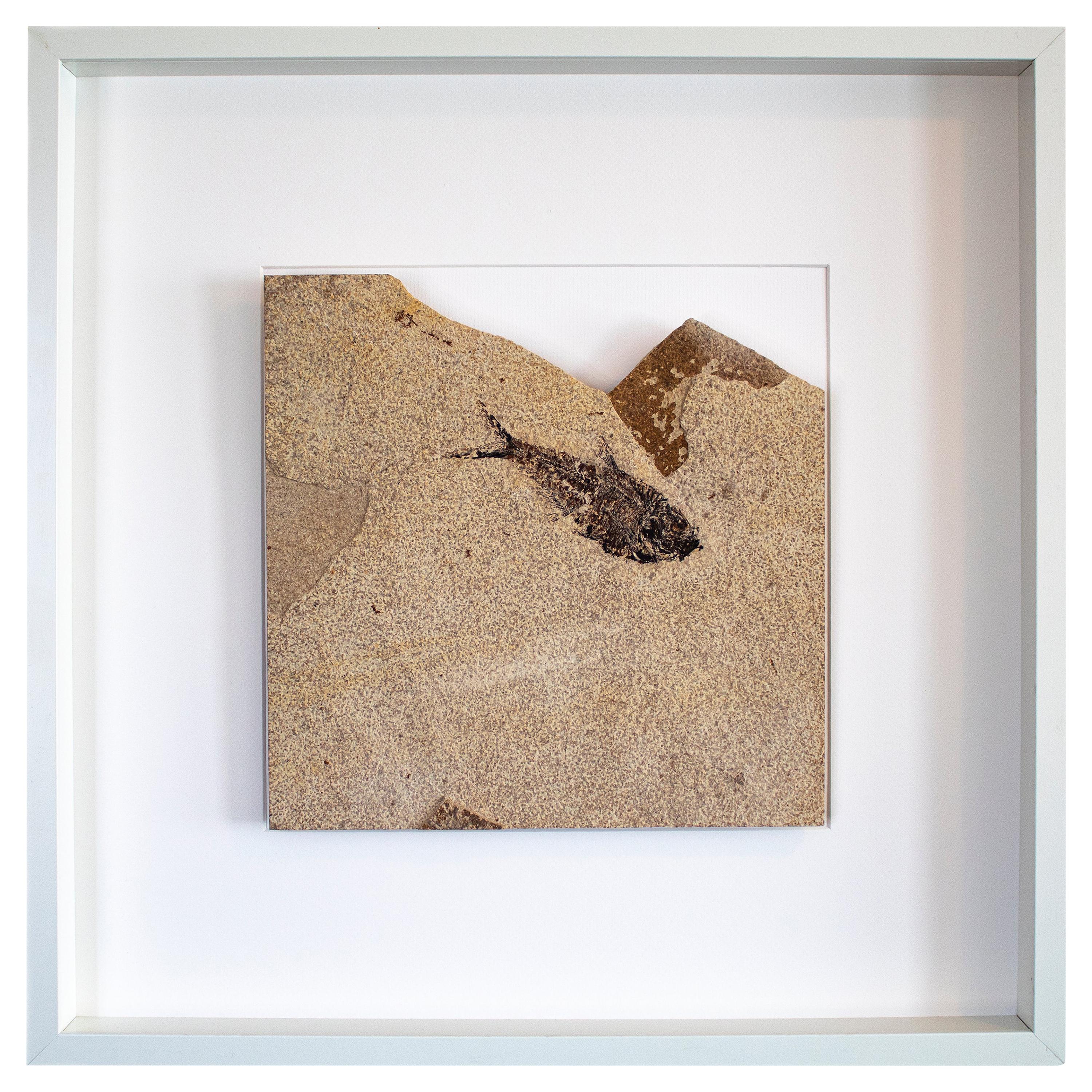 Vintage Indian Metal Purse Mounted on Shadow Box with Wood Frame at 1stDibs