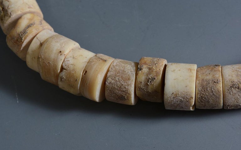 500 B.C., Prehistoric Shell Necklace For Sale at 1stDibs