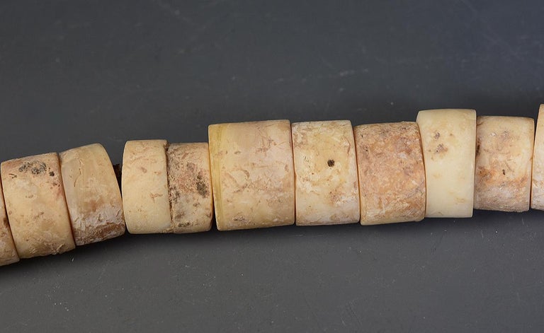 500 B.C., Prehistoric Shell Necklace For Sale at 1stDibs