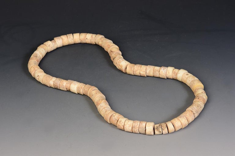 500 B.C., Prehistoric Shell Necklace For Sale at 1stDibs