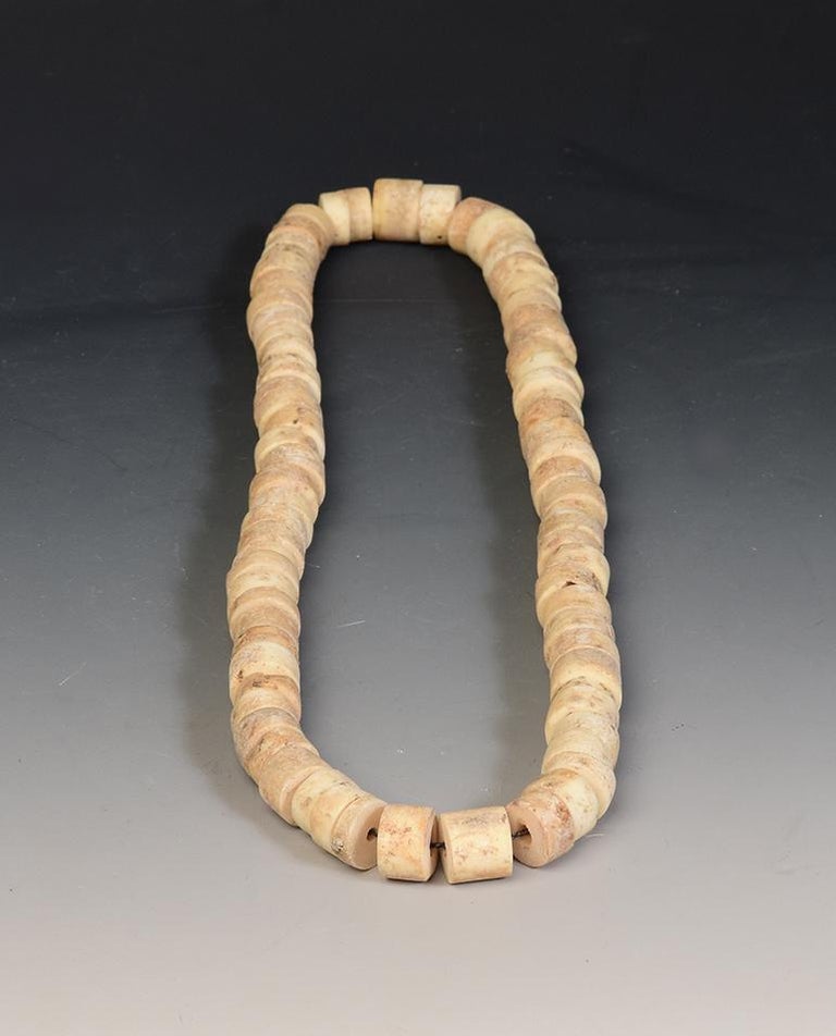 500 B.C., Prehistoric Shell Necklace For Sale at 1stDibs