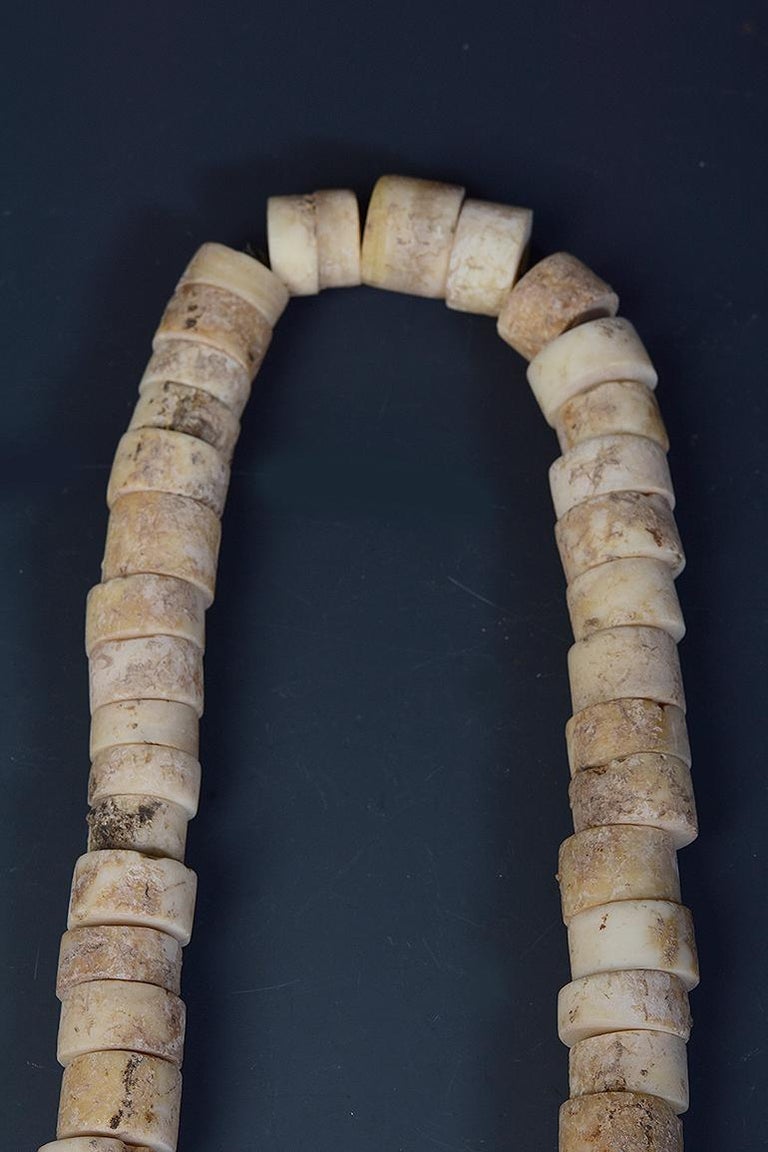 500 B.C., Prehistoric Shell Necklace For Sale at 1stDibs
