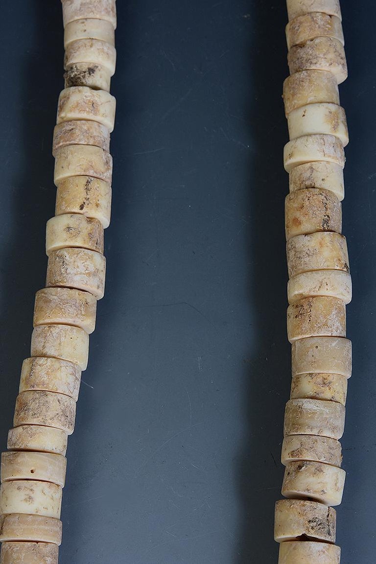 500 B.C., Prehistoric Shell Necklace For Sale at 1stDibs