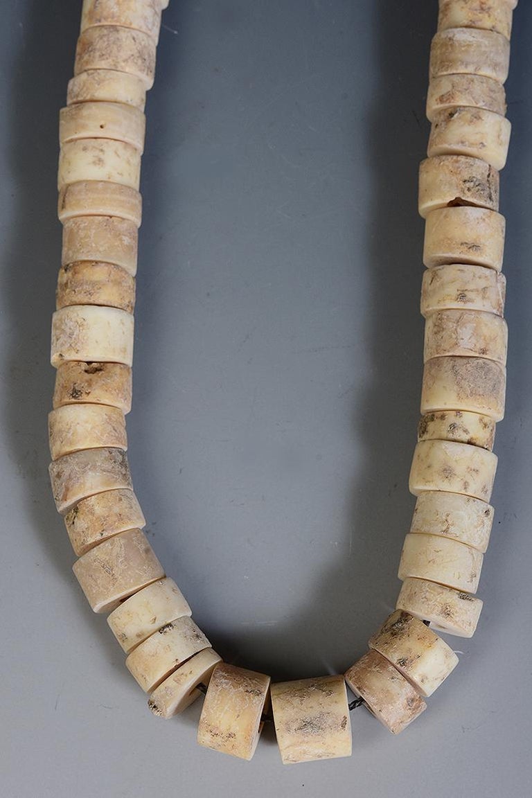 500 B.C., Prehistoric Shell Necklace For Sale at 1stDibs