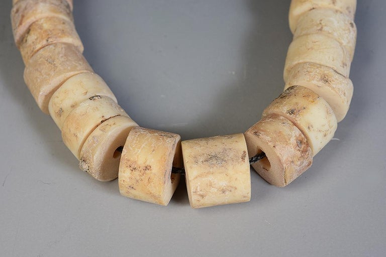 500 B.C., Prehistoric Shell Necklace For Sale at 1stDibs