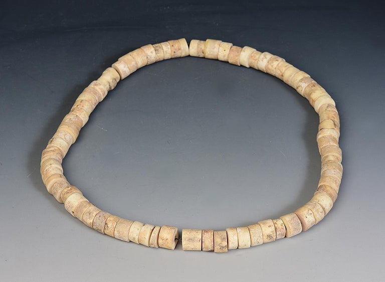 500 B.C., Prehistoric Shell Necklace For Sale at 1stDibs