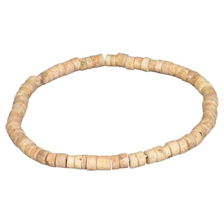 500 B.C., Prehistoric Shell Necklace For Sale at 1stDibs