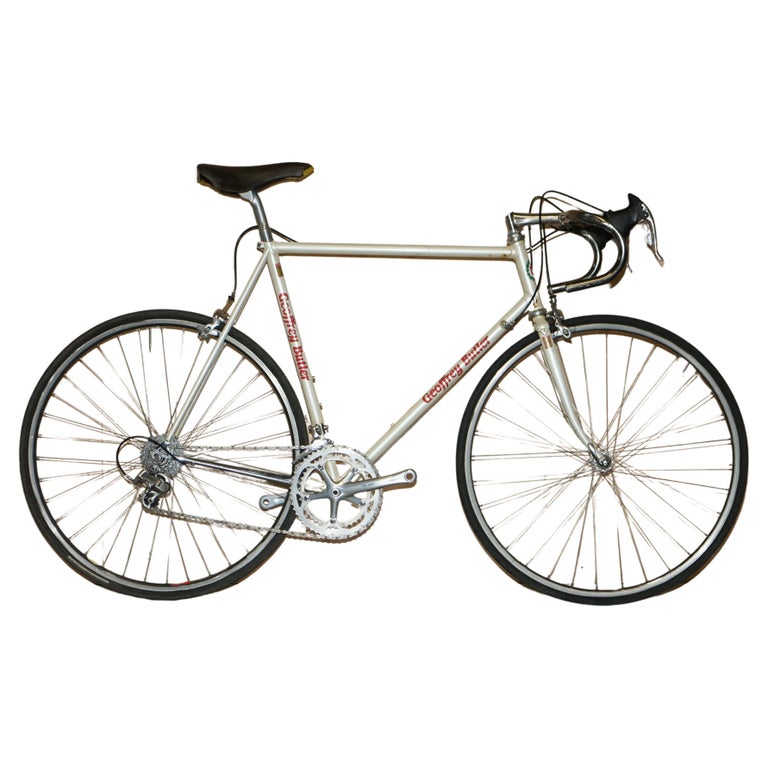 57.5CM GEOFFREY BUTLER COLUMBUS SLX CAMPAGNOLO CHORUS WINTER TRAiNER ...