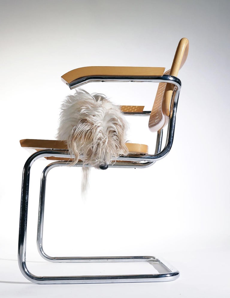 6 Midcentury Marcel Breuer B32 Cesca Chairs, Fasem Italy, 1970 at 1stDibs