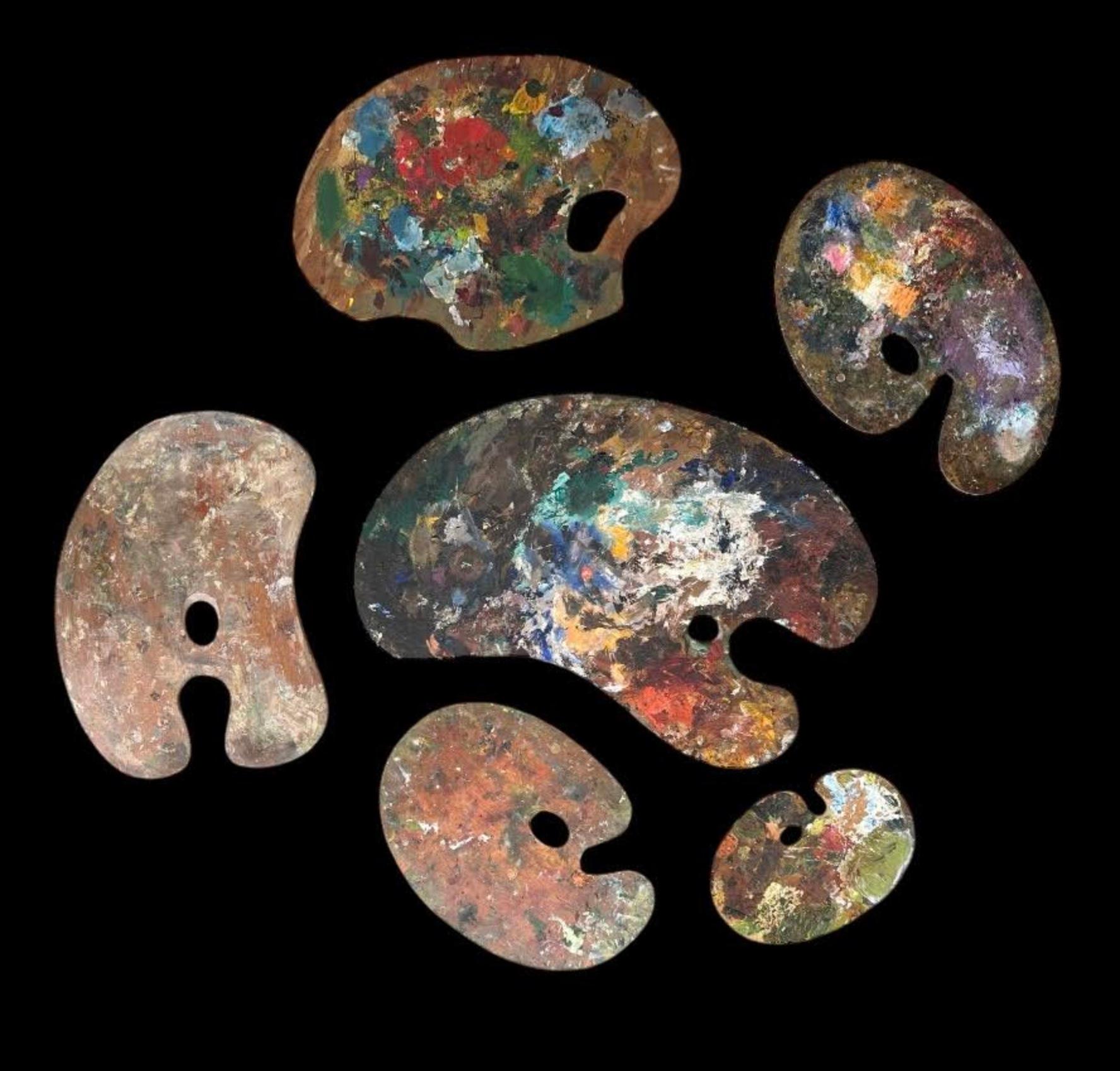 6 Vintage Organic Shaped Artist Palettes For Sale at 1stDibs