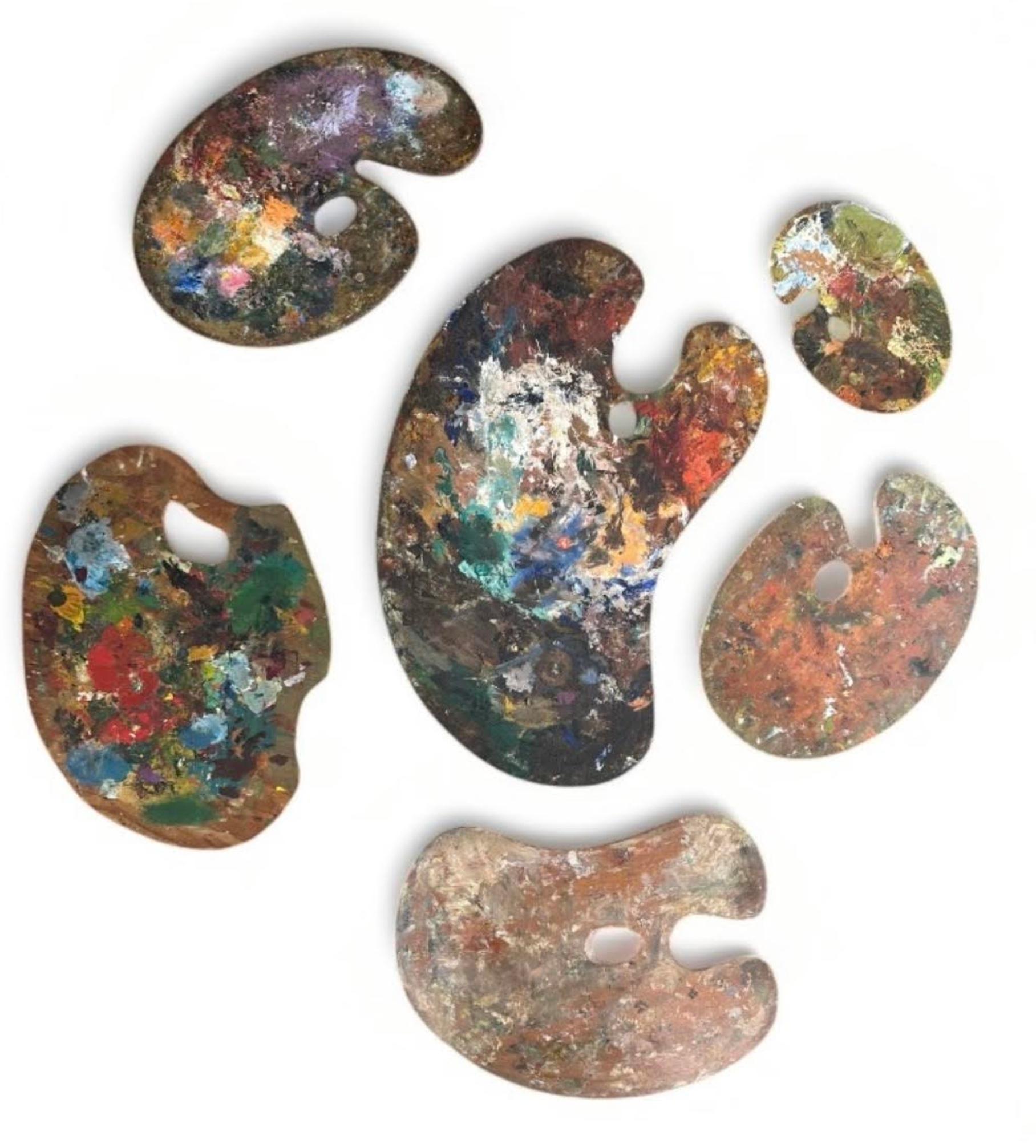 6 Vintage Organic Shaped Artist Palettes For Sale at 1stDibs