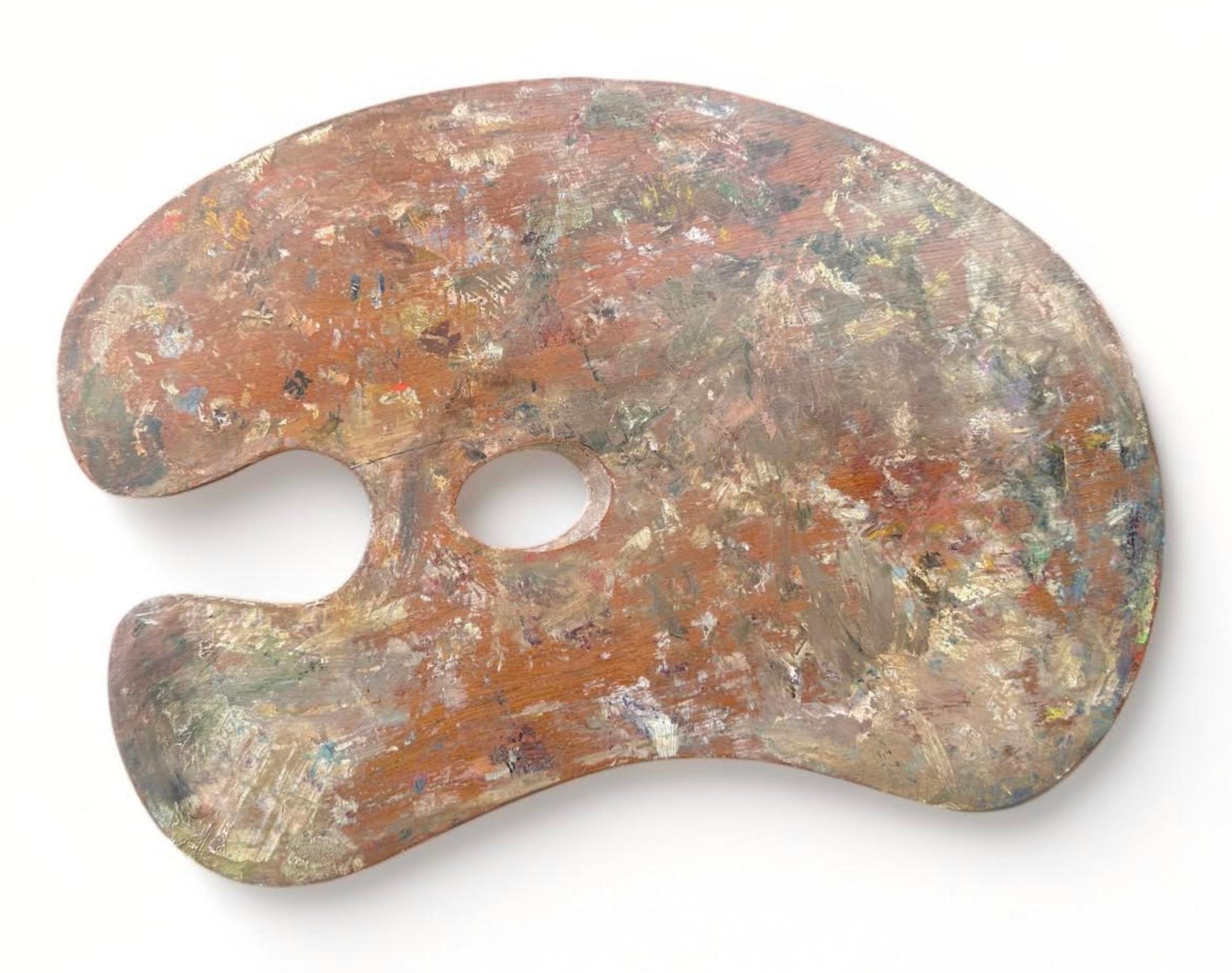 6 Vintage Organic Shaped Artist Palettes For Sale at 1stDibs