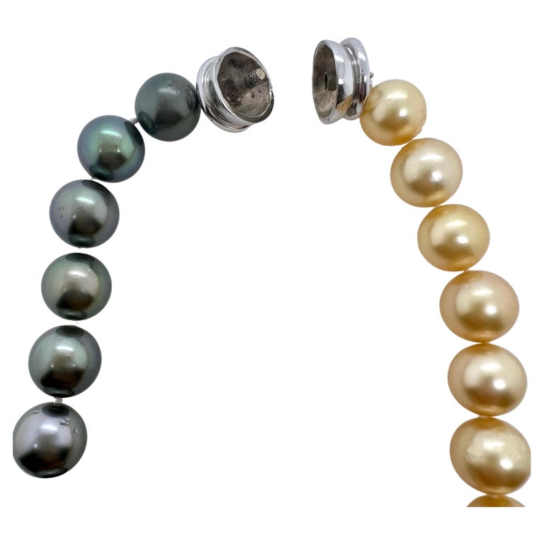 Color Gradient Strand of Gold, White South Sea Pearls and Black, Grey ...