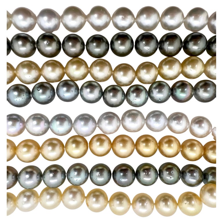 Color Gradient Strand of Gold, White South Sea Pearls and Black, Grey ...