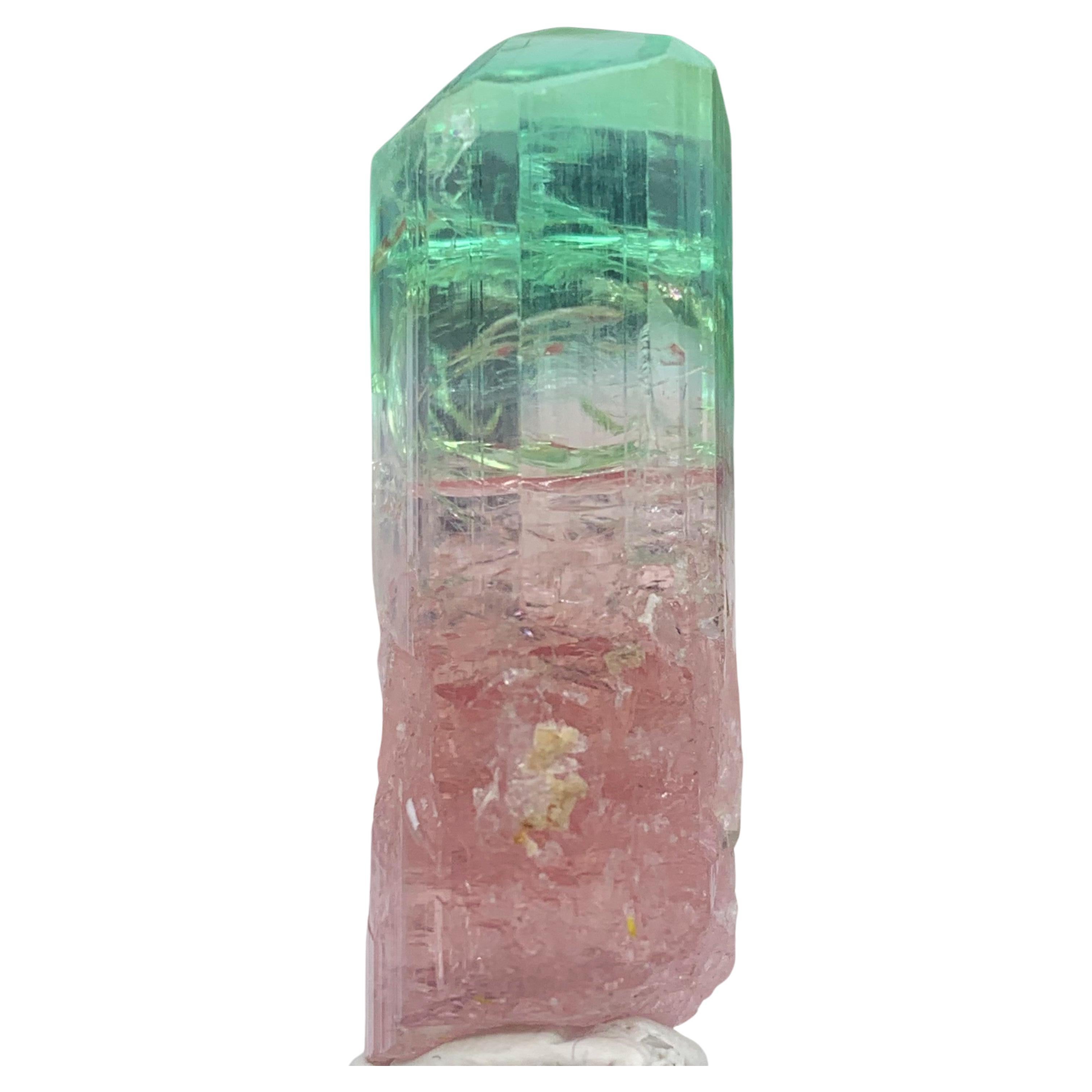 35.75 Carat Incredible Bi Color Tourmaline Crystal from Afghanistan For ...
