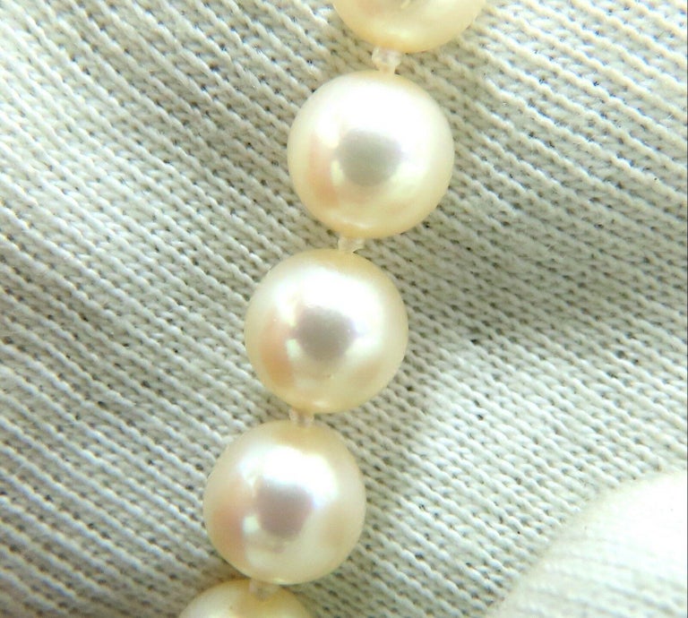 Natural Japanese Akoya Pearls Necklace 14 Karat at 1stDibs