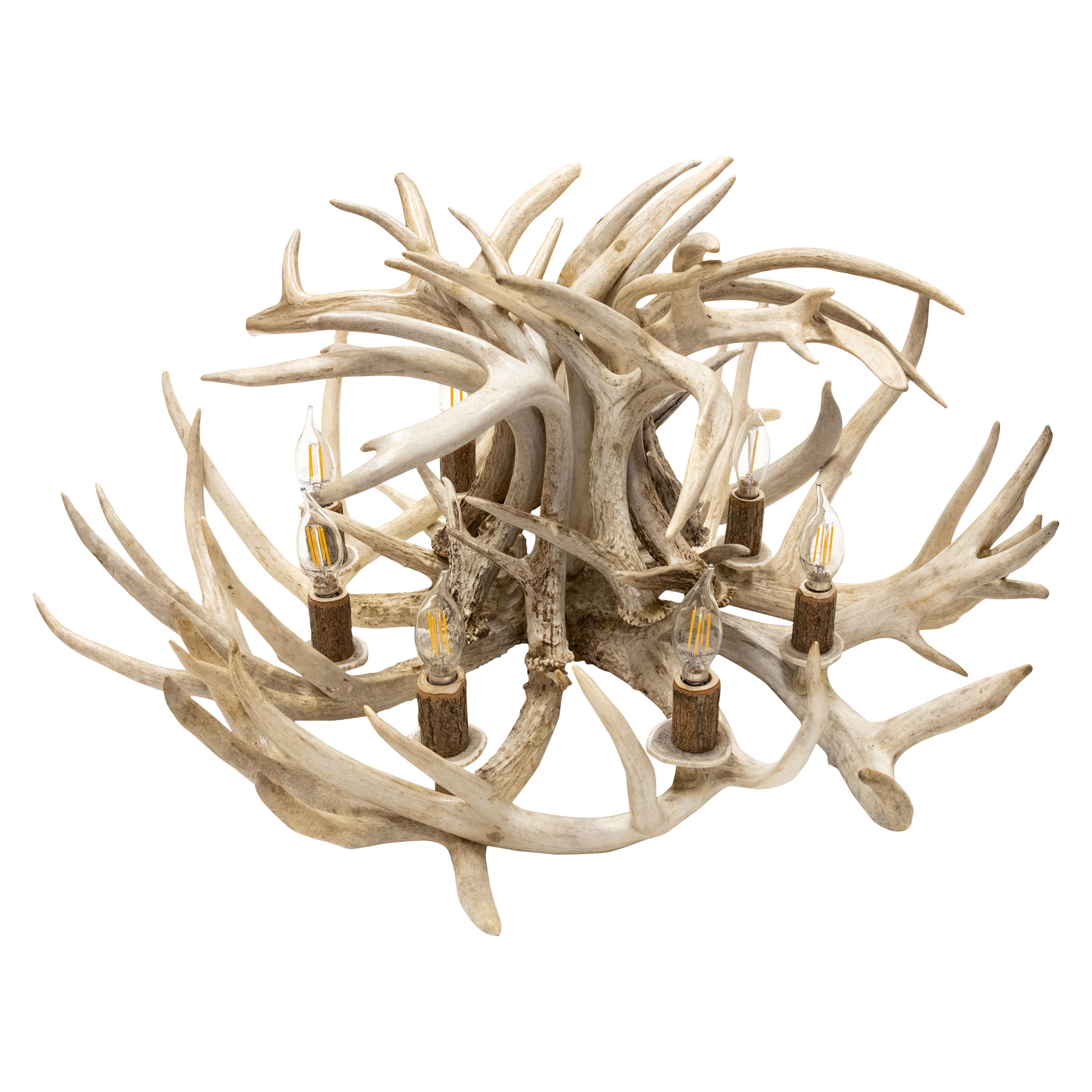 Massive Fallow Deer Chandelier For Sale at 1stDibs