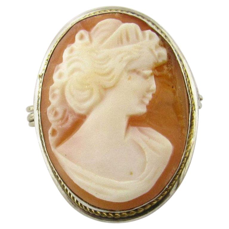 800 Silver Cameo Brooch at 1stDibs