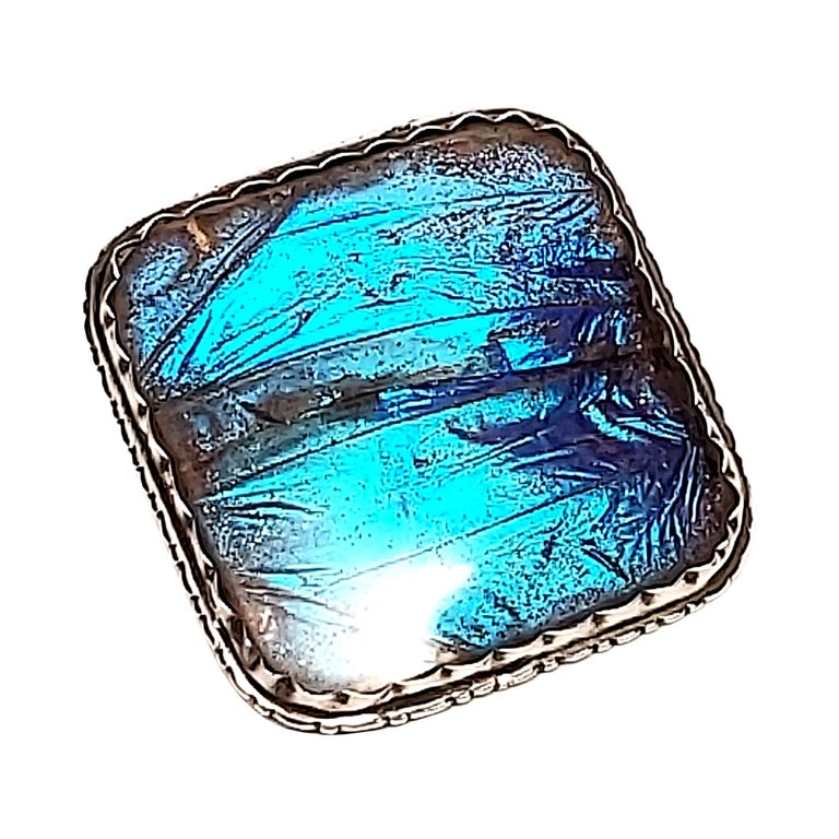 900 Silver Zitrin Brasil Butterfly Wing Pin at 1stDibs
