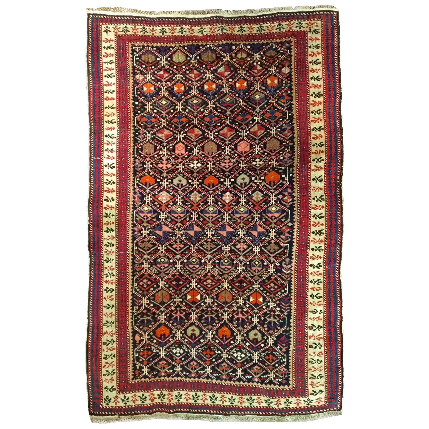 637 - Antique shirvan Caucasus Rug For Sale at 1stDibs