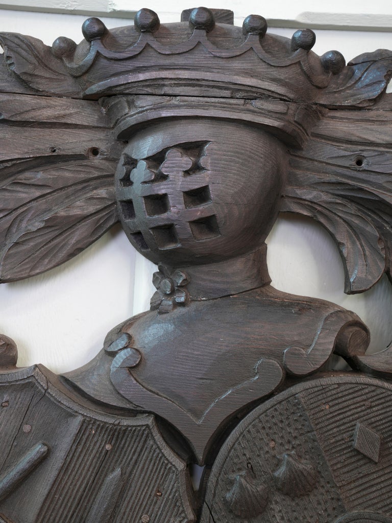 19th Century Carved Heraldic Coat of Arms For Sale at 1stDibs