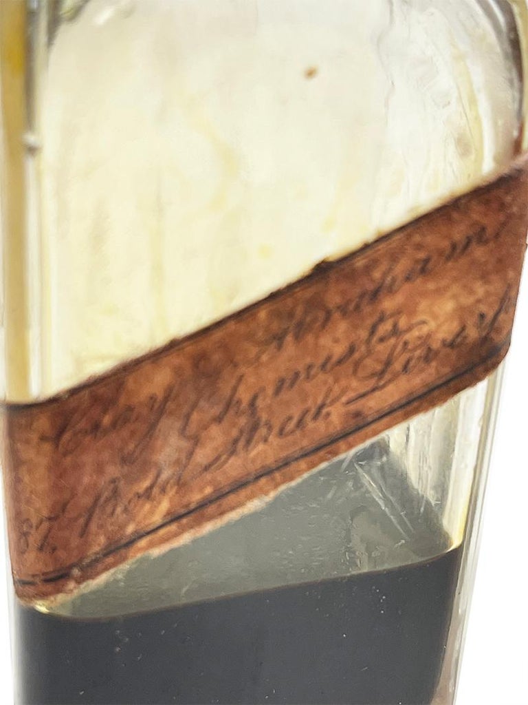 19th Century English Medicine Chest by Clay and Abraham, Liverpool For ...