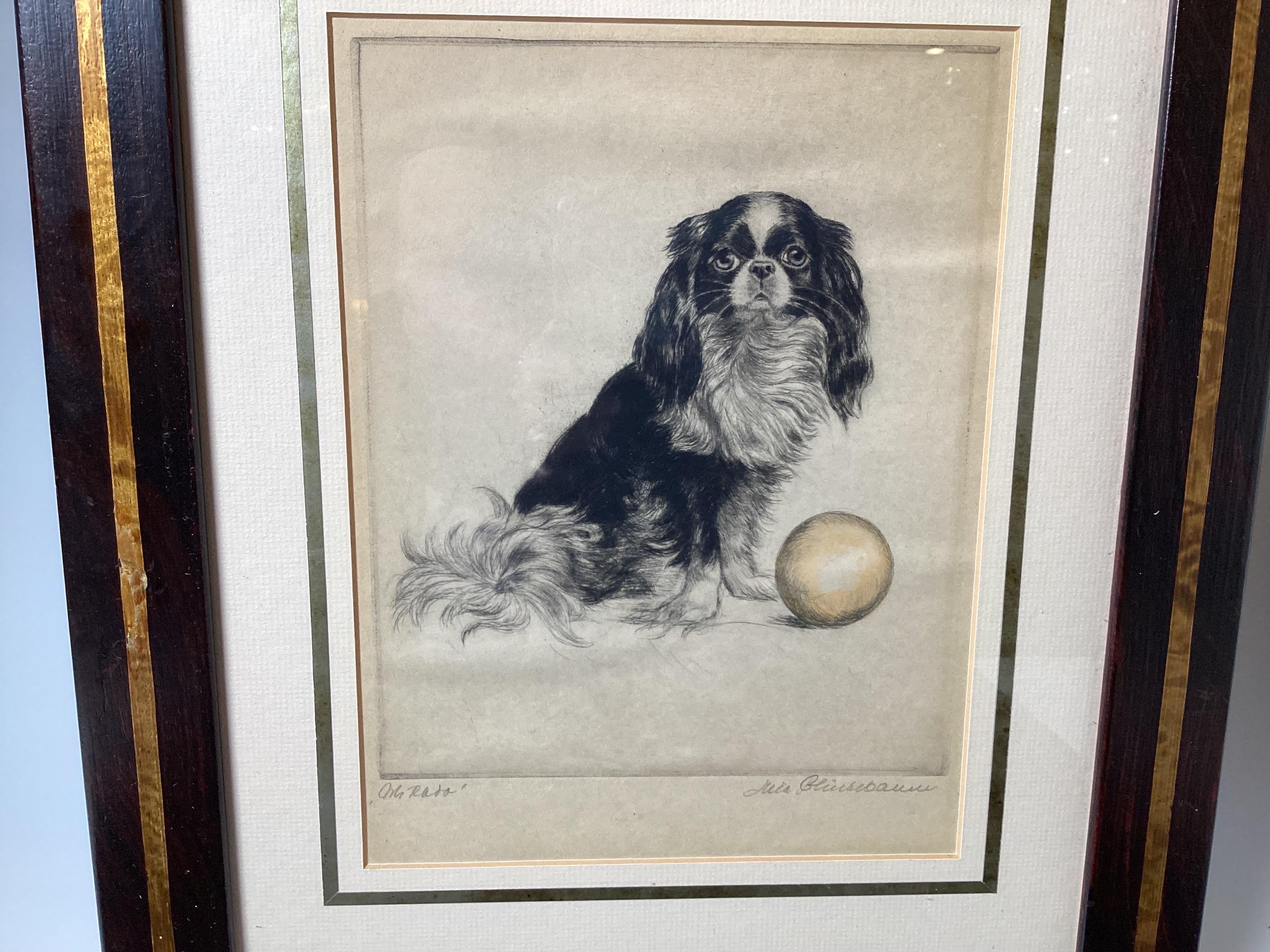 Litografía coloreada a mano del siglo XIX de un perro de aguas en venta ...