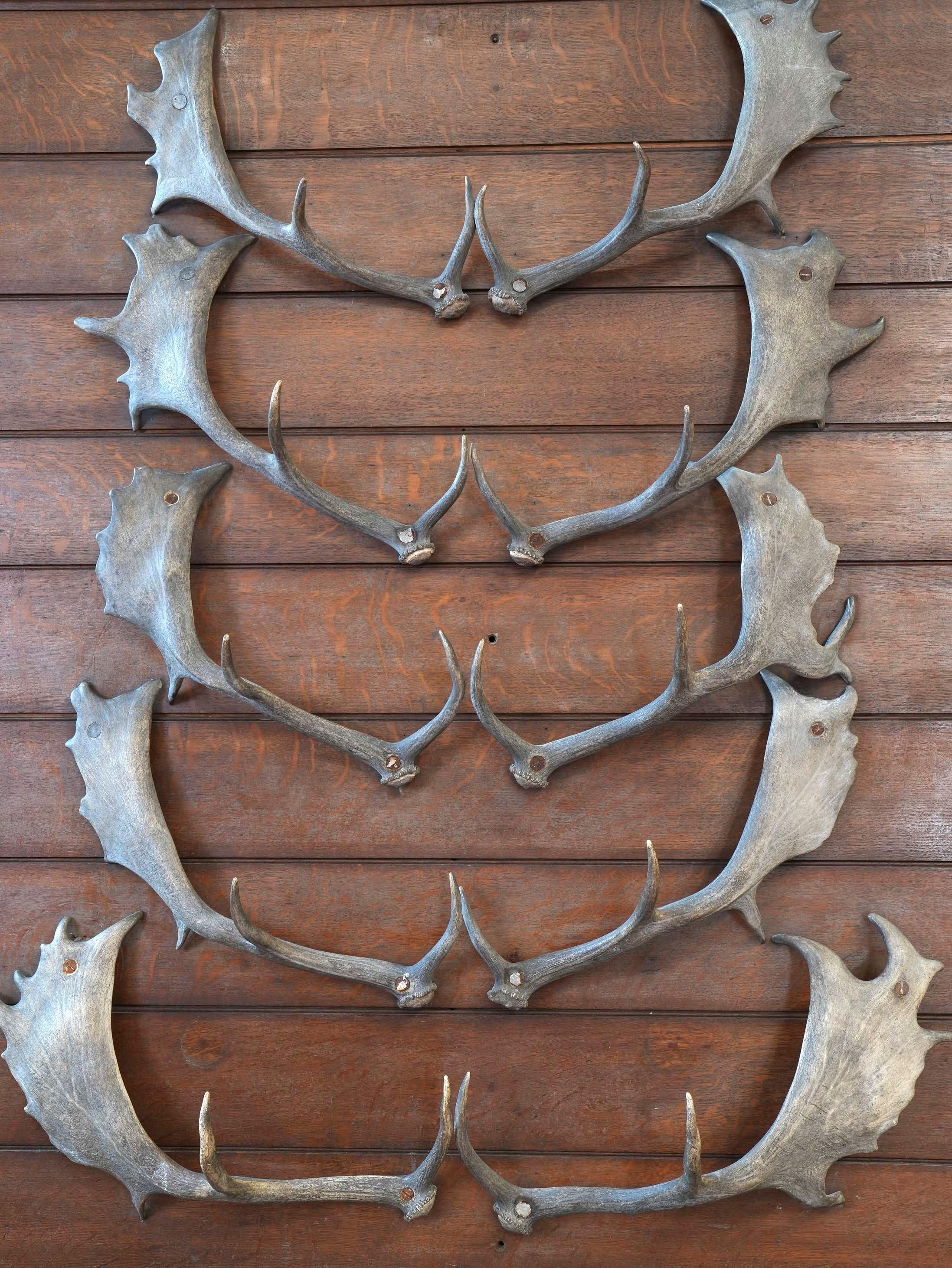 19th Century Stag Antler Fishing Rod Rack at 1stDibs