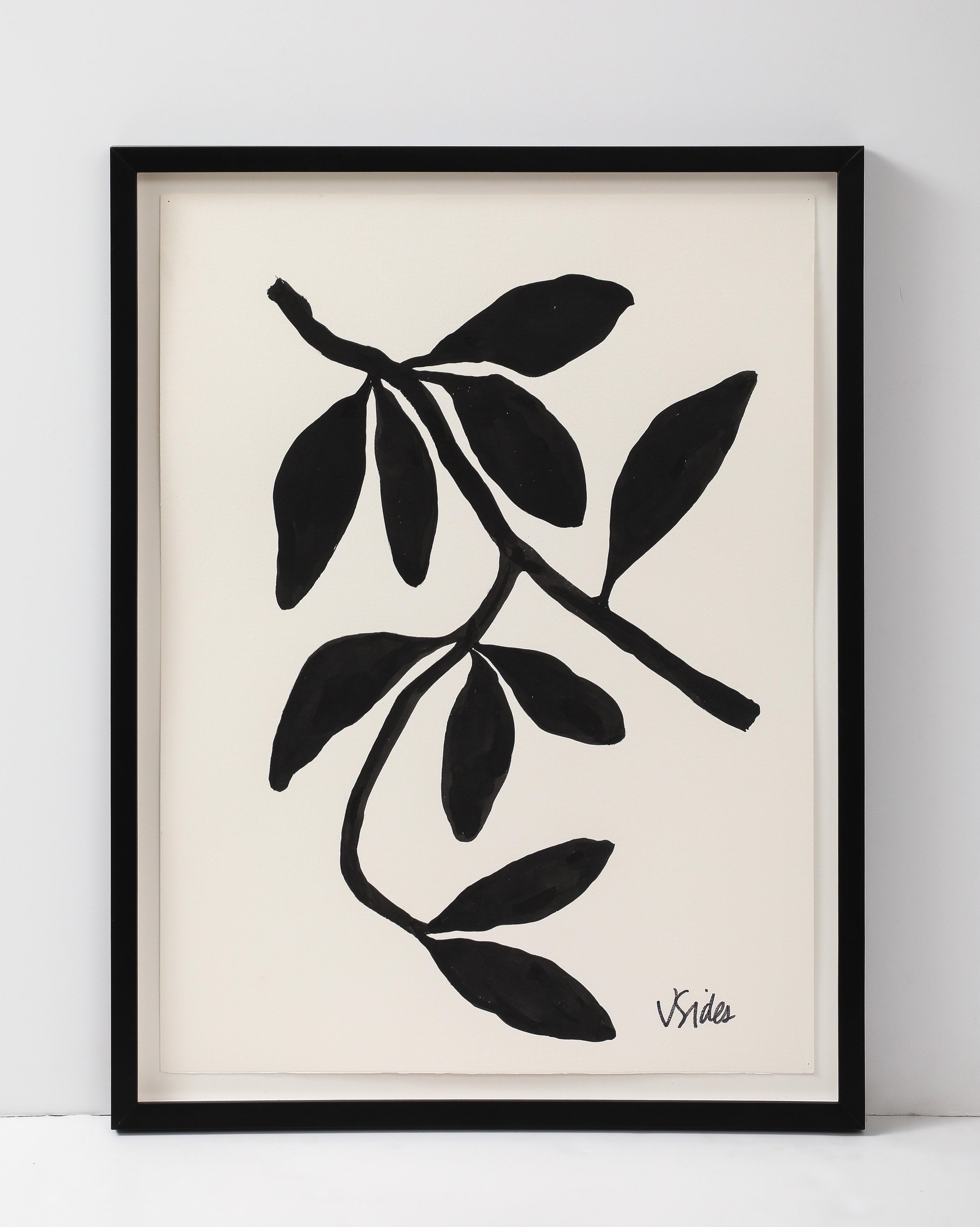 A Black and White Painted Botanical For Sale at 1stDibs