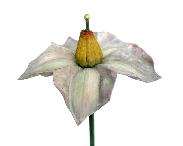 Botanic Flower Model Scientific Specimen, Milan Paravia, circa 1900 For ...