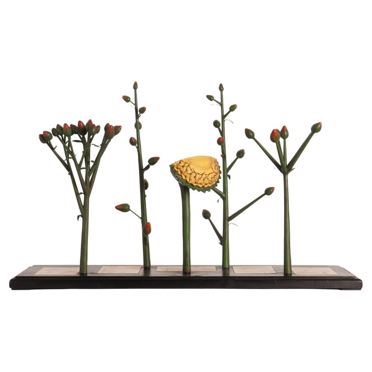 Botanic Model of Different Type of Inflorescences, Italy, 1930 For Sale ...