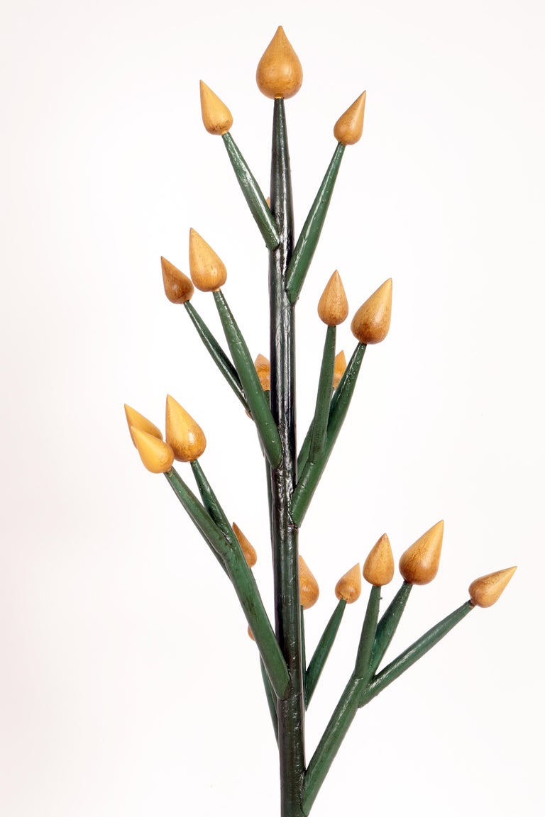 A botanic model of inflorescence, the Panicle or compound bunch, Italy ...