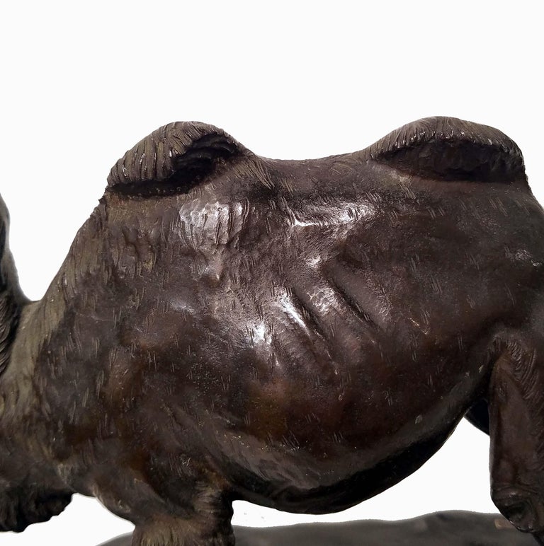Bronze Model of a Camel, Signed Watanabe, Japan, 19th Century For Sale ...
