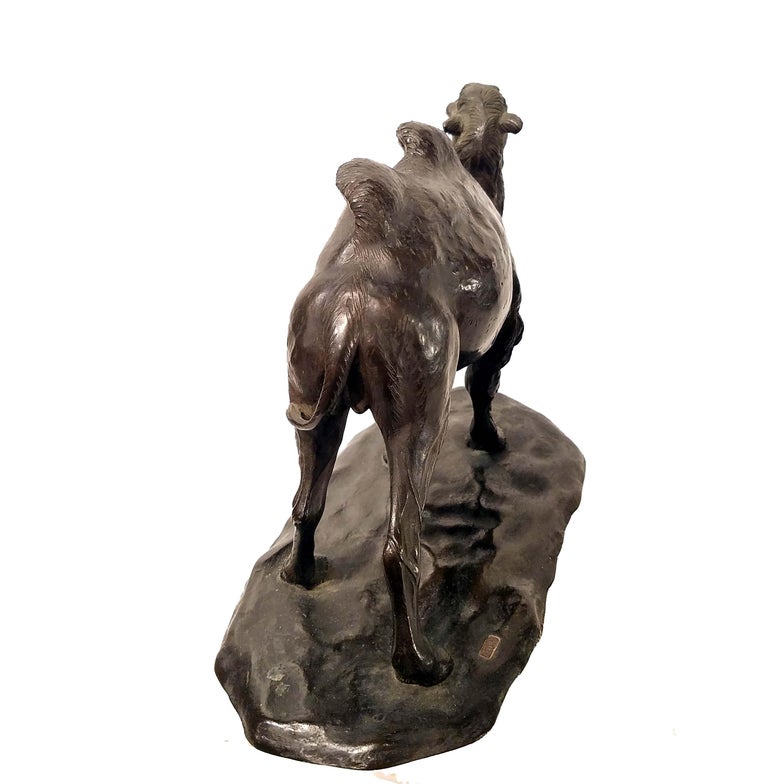Bronze Model of a Camel, Signed Watanabe, Japan, 19th Century For Sale ...