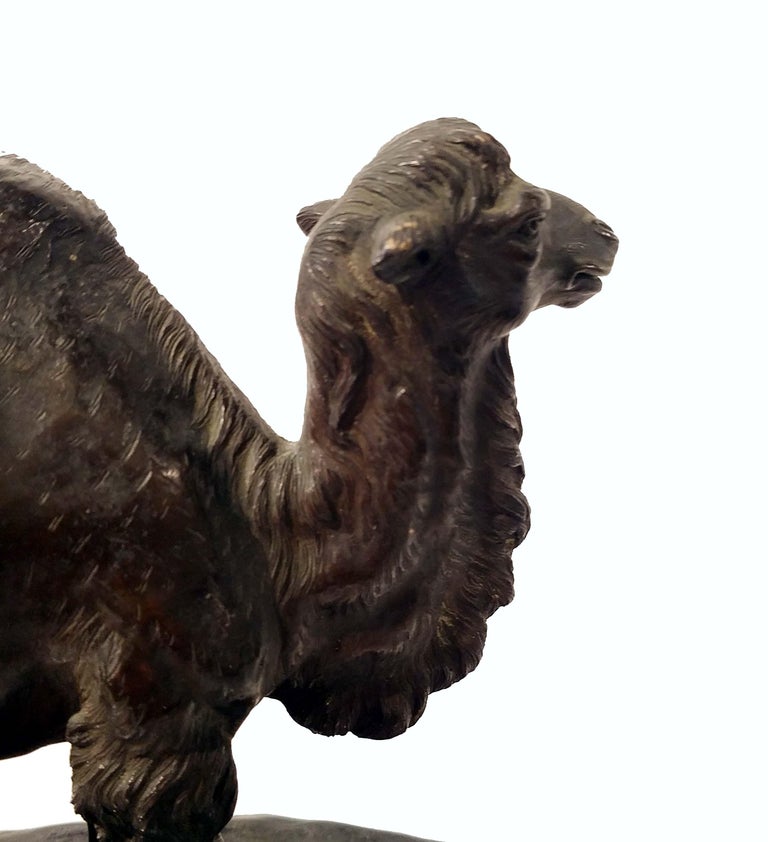 Bronze Model of a Camel, Signed Watanabe, Japan, 19th Century For Sale ...